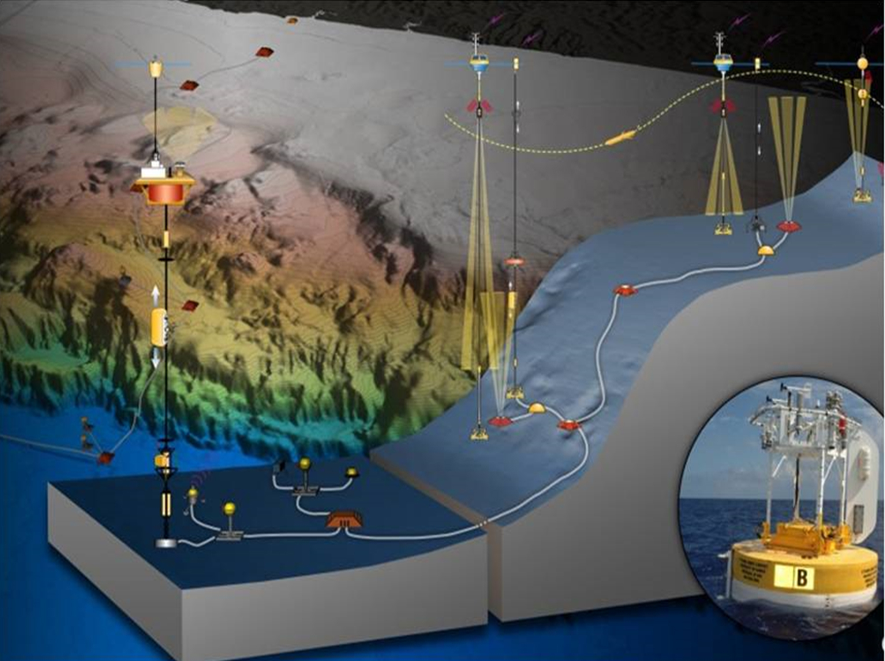 同济大学2023本科专业概览——理科试验班 - 同济大学本科招生网